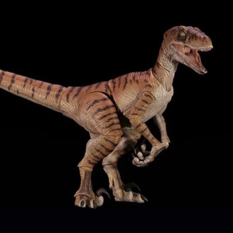 Nanmu Studio Zero-Set Easy Motion Velociraptor 2.5 Tiger Blade