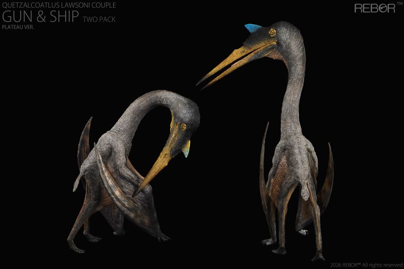 [Pre-sale] REBOR Quetzalcoatlus lawsoni Couple Museum Class Replica Two ...