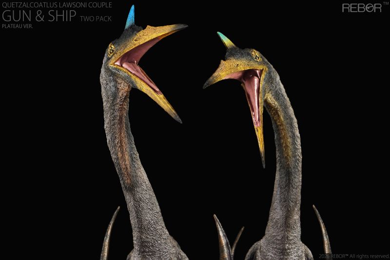 [Pre-sale] REBOR Quetzalcoatlus lawsoni Couple Museum Class Replica Two ...