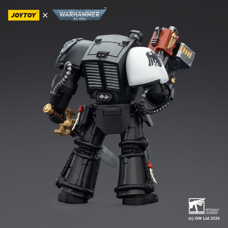 [In stock] JOYTOY Warhammer 40K Raven Guard Terminator 1 with Power ...