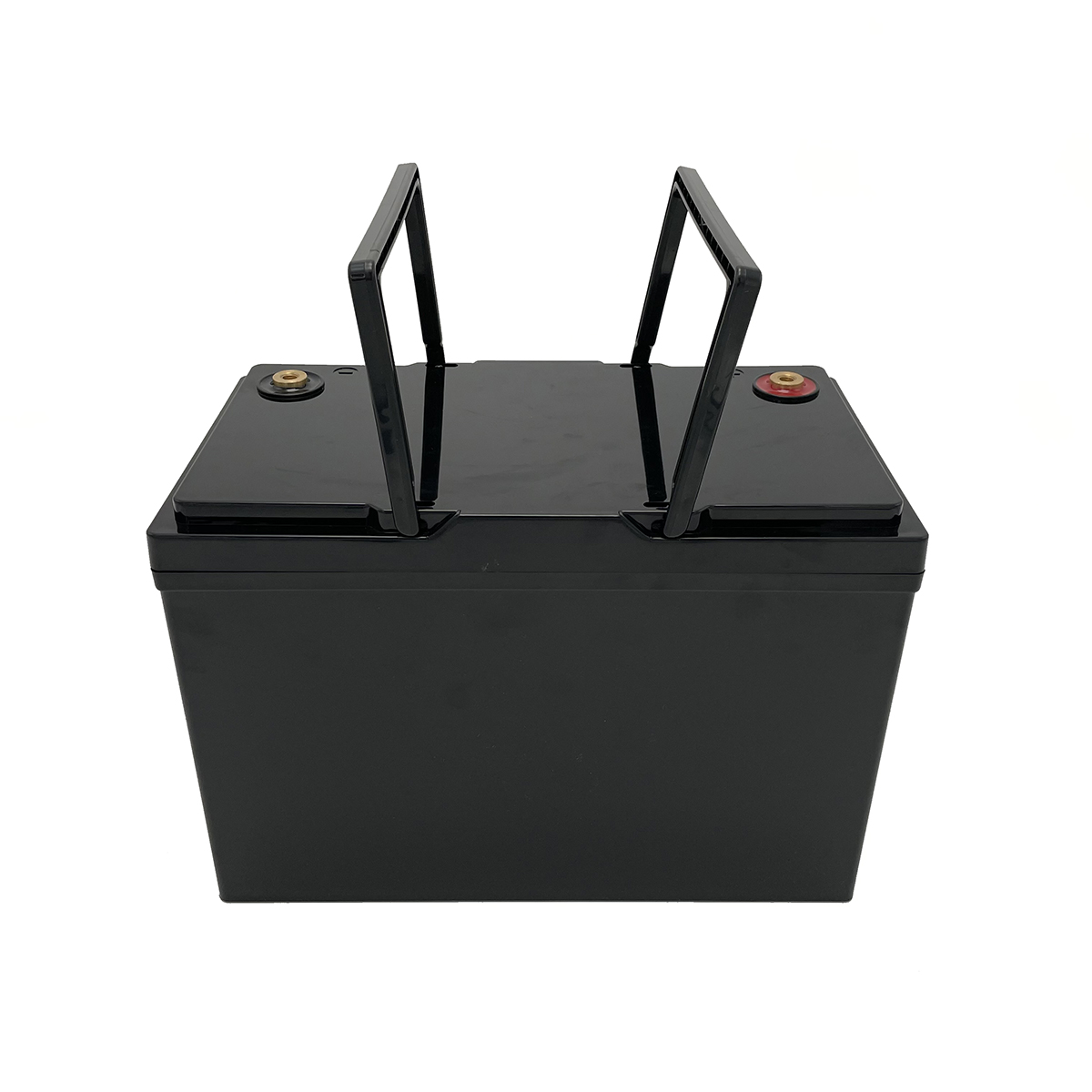 RisunPower RP12100LR 12.8V 100Ah 1280Wh LiFePO4 Lithium Battery replace ...