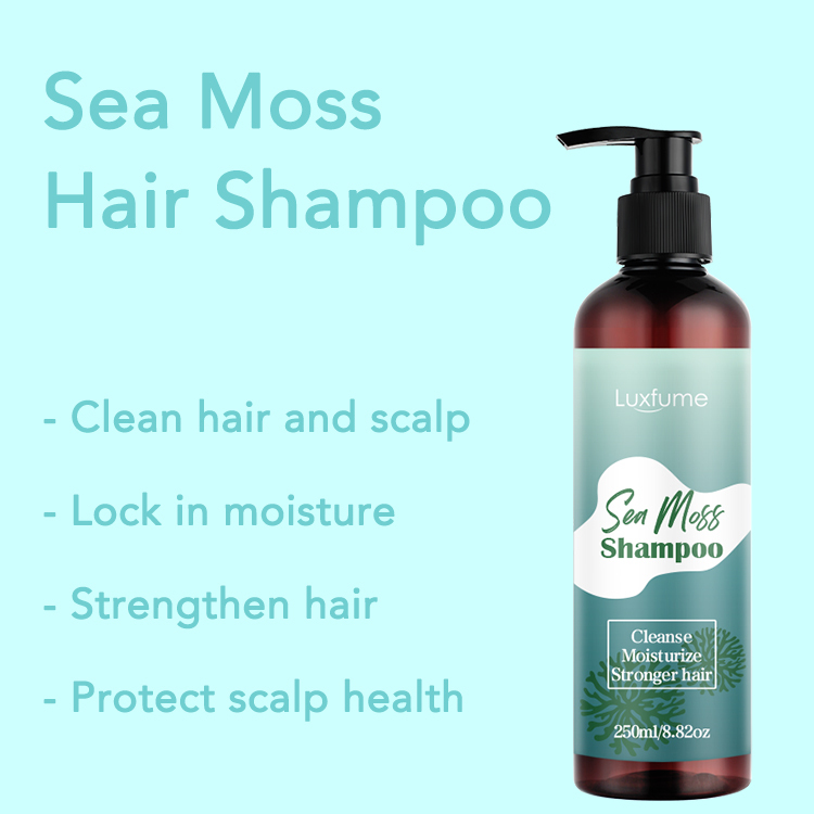 Nourish Hair Scalp Anti Hair Loss Organic Sea Moss Shampoo And Conditioner