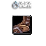 [20th Anniversary Classic ERA] Deviate Scale Belt - All Servers Delivery!