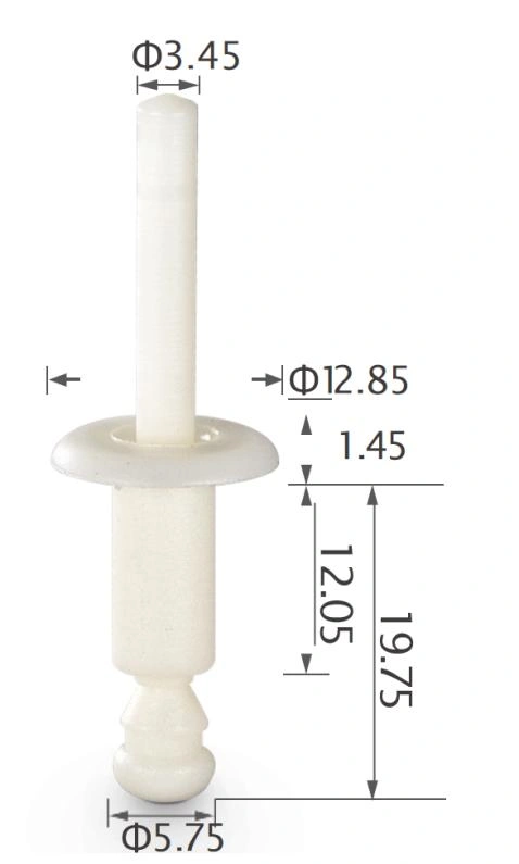 20pcs VW Blind rivet