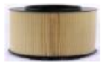 ISUZU Air Filter 15202408