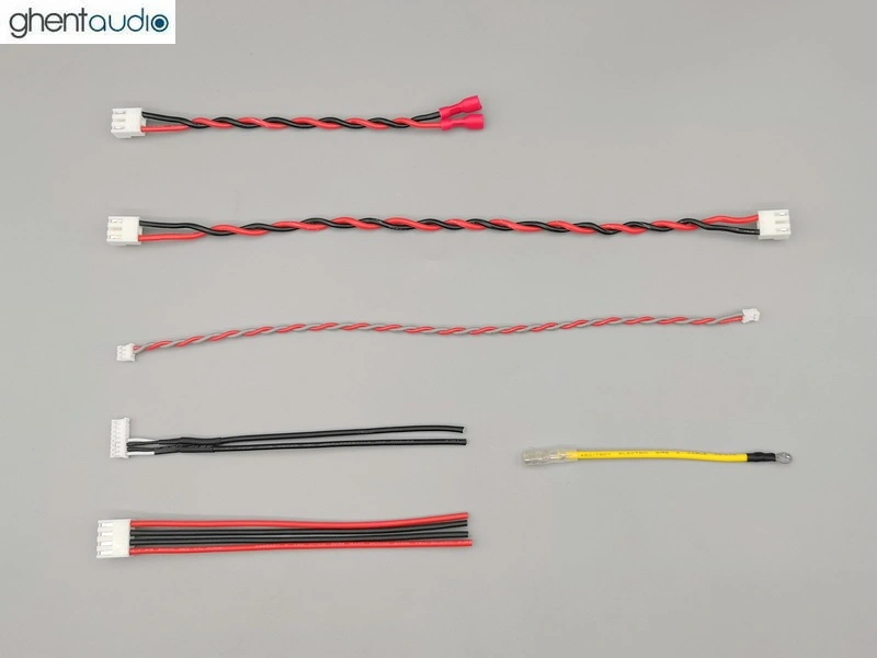 (A215-S2) DIY Stereo Case-kit for ICEpower 125ASX2