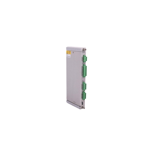 Bently Nevada 135031-01 | RIM I/O Module,Bently Nevada