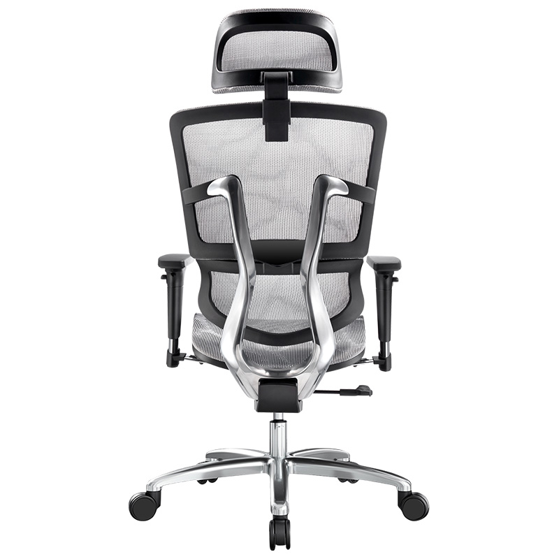 DIPPERCHAIR Ergonomic Office Chair with double backs,High Class ...