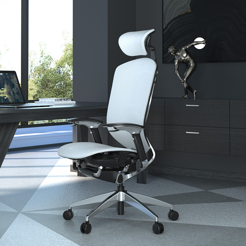 DIPPERCHAIR Executive Ergonomic Office Chair-SMILE,High Class Ergonomic ...