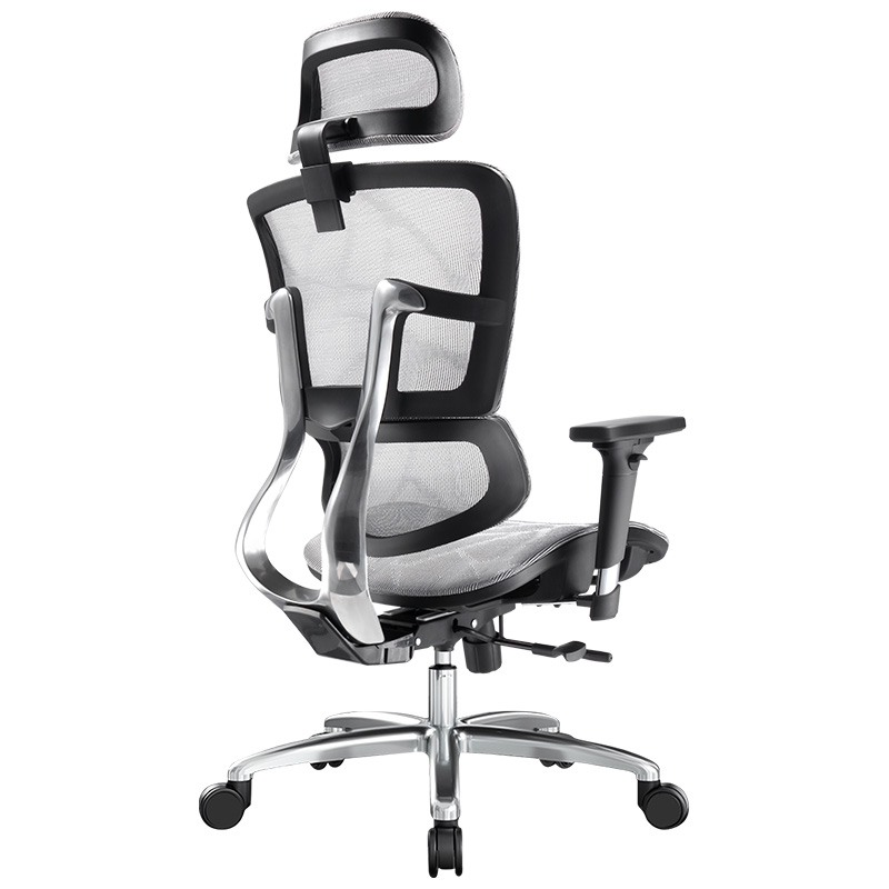 DIPPERCHAIR Ergonomic Office Chair with double backs,High Class ...