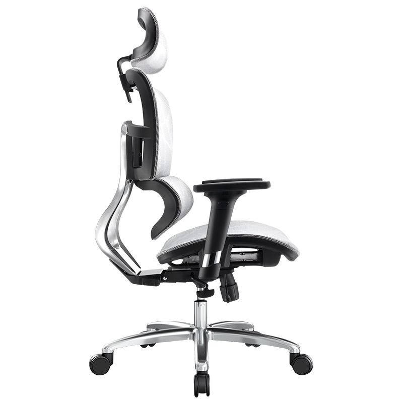 DIPPERCHAIR Ergonomic Office Chair with double backs,High Class ...