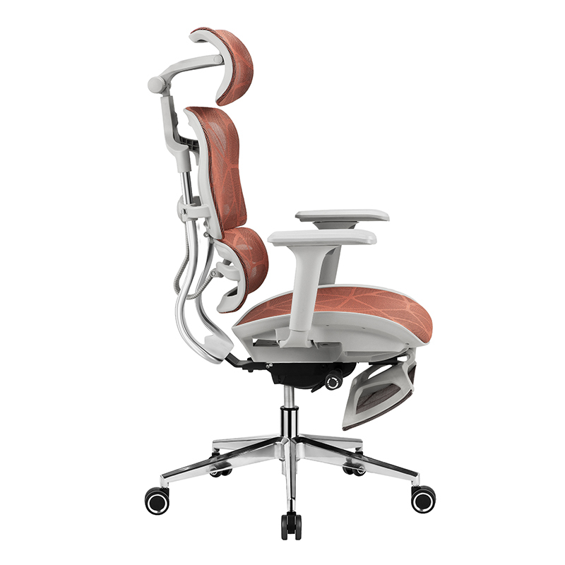 B30X Ergonomic Gaming Chair with 6D Armrest and Dragon Mesh Warranty 5 ...