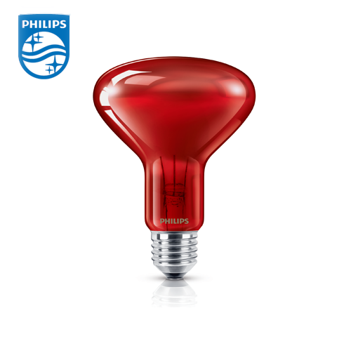 PHILIPS InfraRed Incandescent