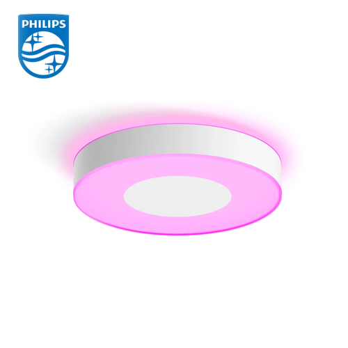 PHILIPS HUE Infuse Ruixi Color Light Atmosphere Ceiling Lamp 929003531901