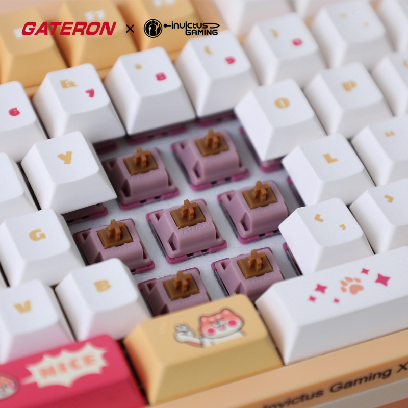 GATERON Co-branded iG 98 Mechanical Keyboard (Bonanza,Sweet time)
