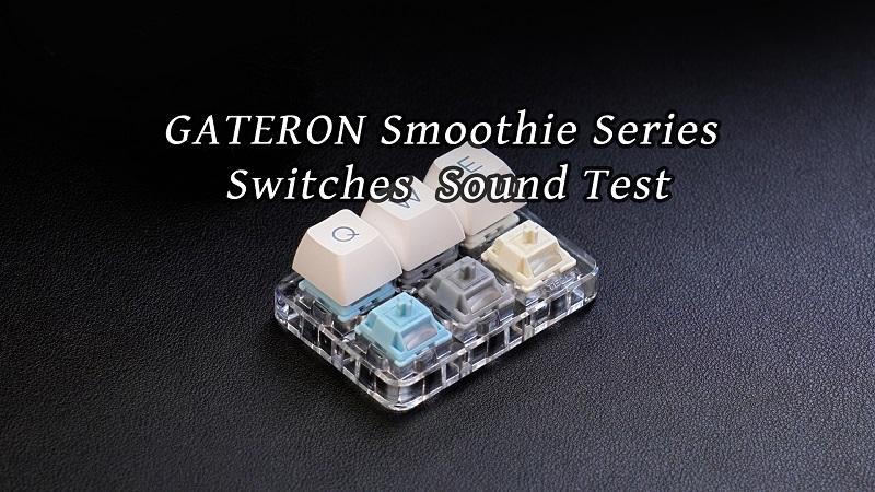 GATERON Smoothie Silver Switch Set