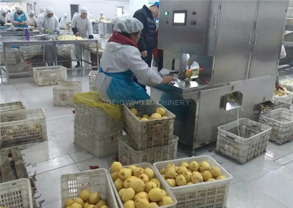 Automatic fruit and vegetable peeling machine industrial apple mango ...