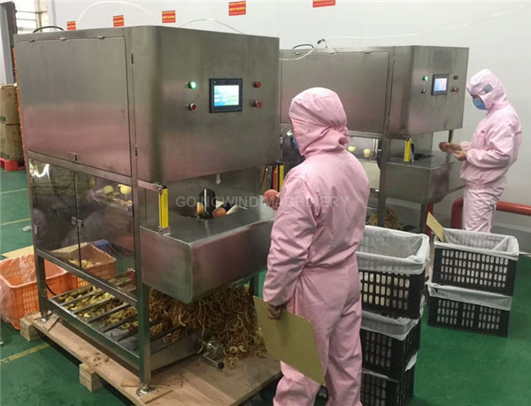 Automatic fruit and vegetable peeling machine industrial apple mango ...