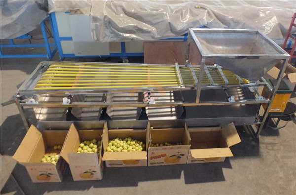 Automatic fruit and vegetable size sorting grading sizing machine ...