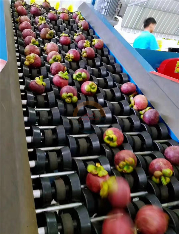 Automatic fruits and vegetables weight sorting grading machine mango lemon pear kiwi dragon ...