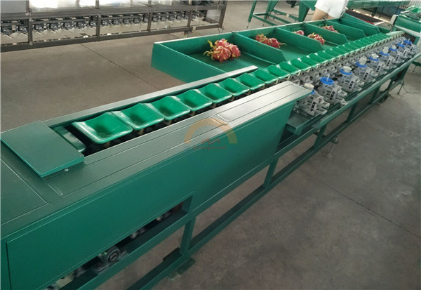 Automatic fruit and vegetable size sorting grading sizing machine ...