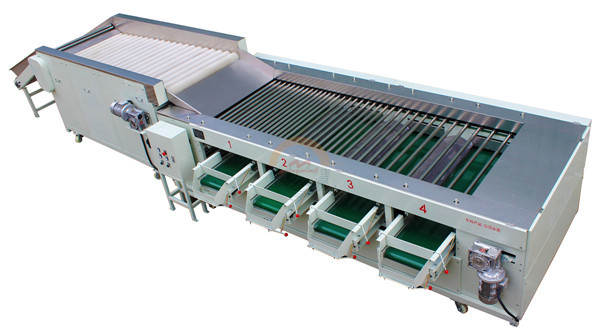 Automatic fruit and vegetable size sorting grading sizing machine ...