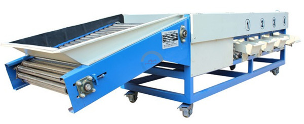 Automatic fruit and vegetable size sorting grading sizing machine ...