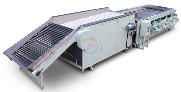 Automatic fruit and vegetable size sorting grading sizing machine ...