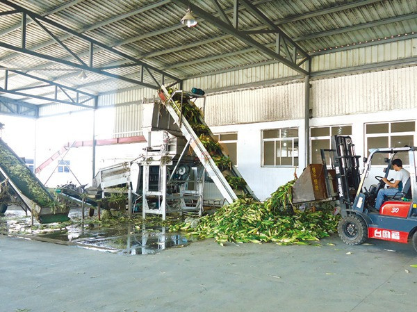 Automatic sweet corn peeling husking machine industrial fresh corn ...