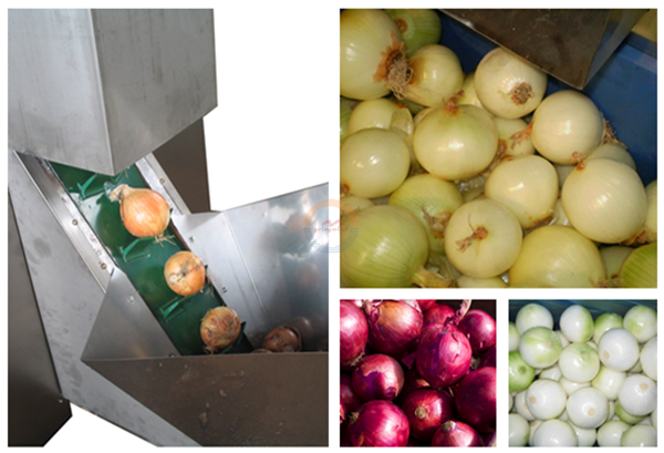 Automatic commercial onion peeling and root cutting machine industrial ...