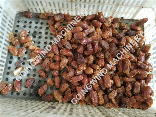 Automatic date seed removing pitting stoning machine medjool palm dates ...