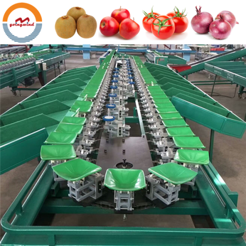 Automatic fruit and vegetable weight sorting grading machine apple tomato onion coconut potato ...