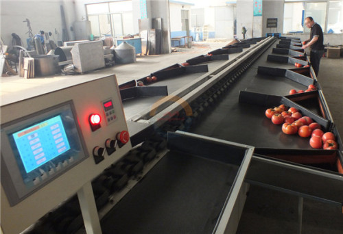 Automatic fruits and vegetables weight sorting grading machine mango lemon pear kiwi dragon ...