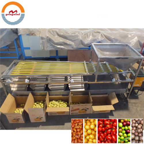 Automatic olive cherry small fruit size sorting grading sizing machine industrial macadamia nuts ...