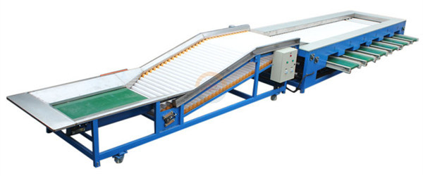 Automatic fruit and vegetable size sorting grading sizing machine ...