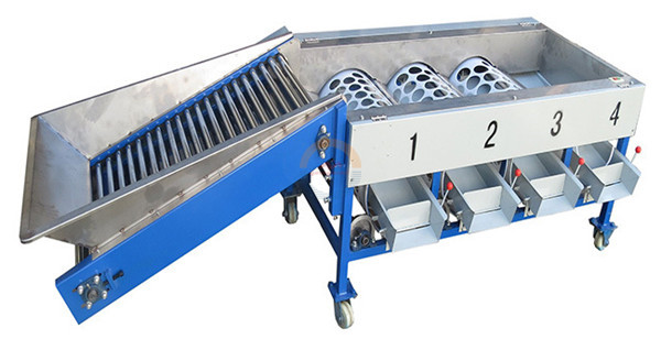 Automatic onion garlic size grading sorting sizing machine industrial ...