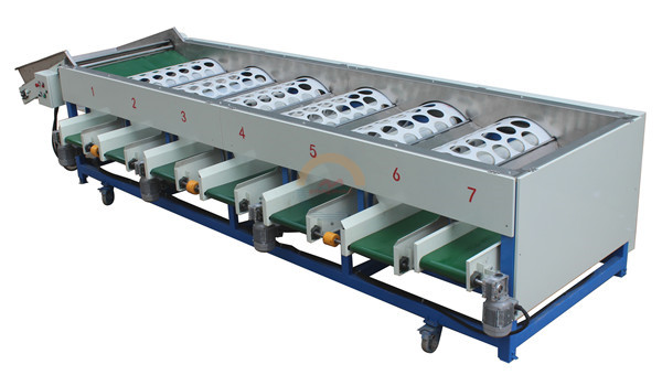 Automatic onion garlic size grading sorting sizing machine industrial ...