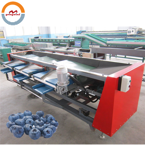 Automatic commercial blueberry size grading sorting sizing machine industrial blueberries grader ...