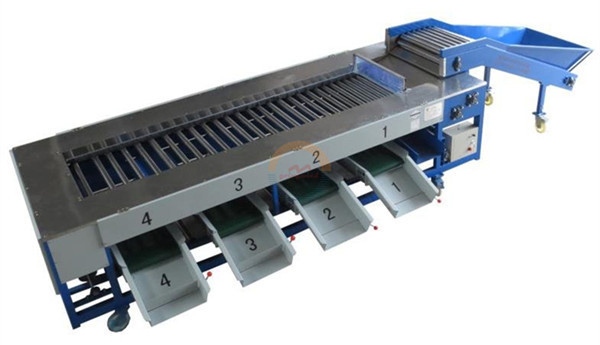 Automatic fruit and vegetable size sorting grading sizing machine ...