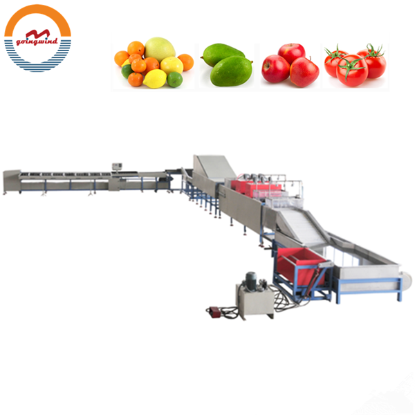 Automatic fruit washing waxing drying and grading machine apple orange mango citrus lemon pomelo ...