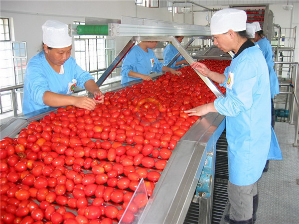 Automatic tomato paste ketchup production line small concentrated ...