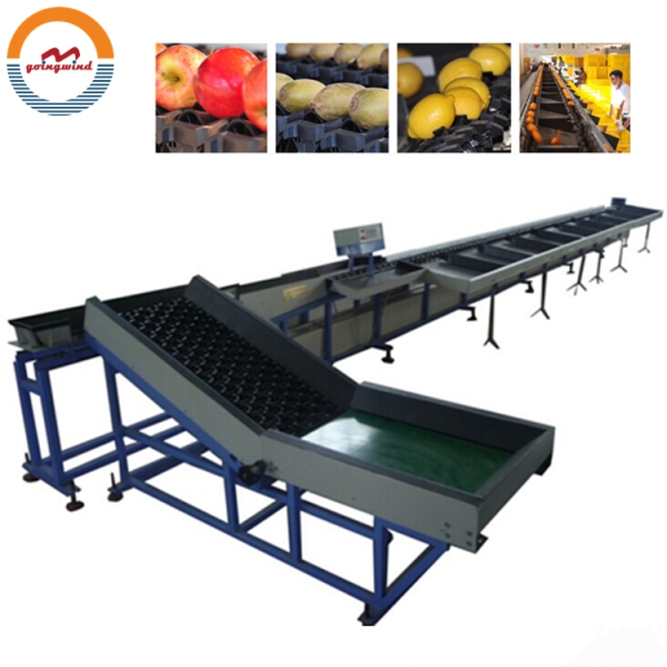 Automatic Commercial Kiwi Fruit Grading Sorting Machine Auto Industrial Kiwi Fruits Weight ...