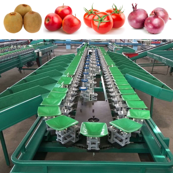 Automatic Potato Weight Grading Sorting Machine Auto Sweet Potatoes ...