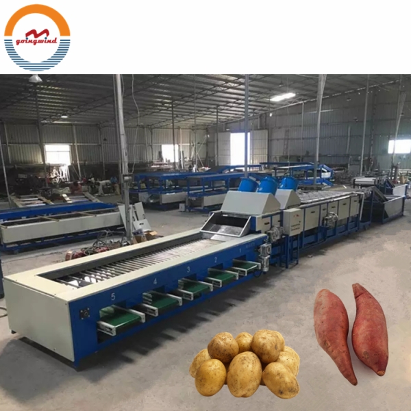 Good Price Automatic Sweet Potatoes Washing Drying and Grading Machine Auto Potato Dry Cleaning ...