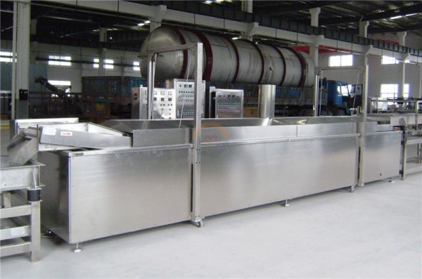 Good Price Automatic Fruit and Vegetable Conveyor Fryer Auto Food ...