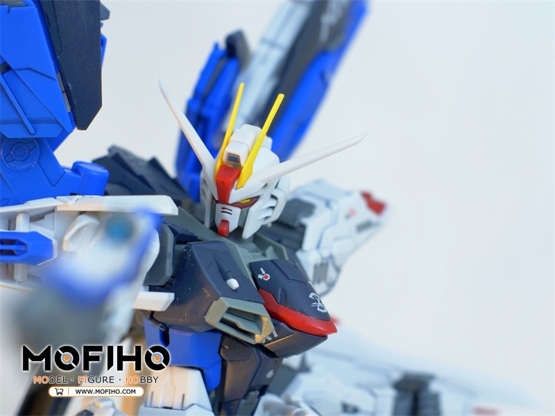 DABAN 6650 Freedom Gundam VER.2.0 1/100 MG ZGMF-X10A Gundam