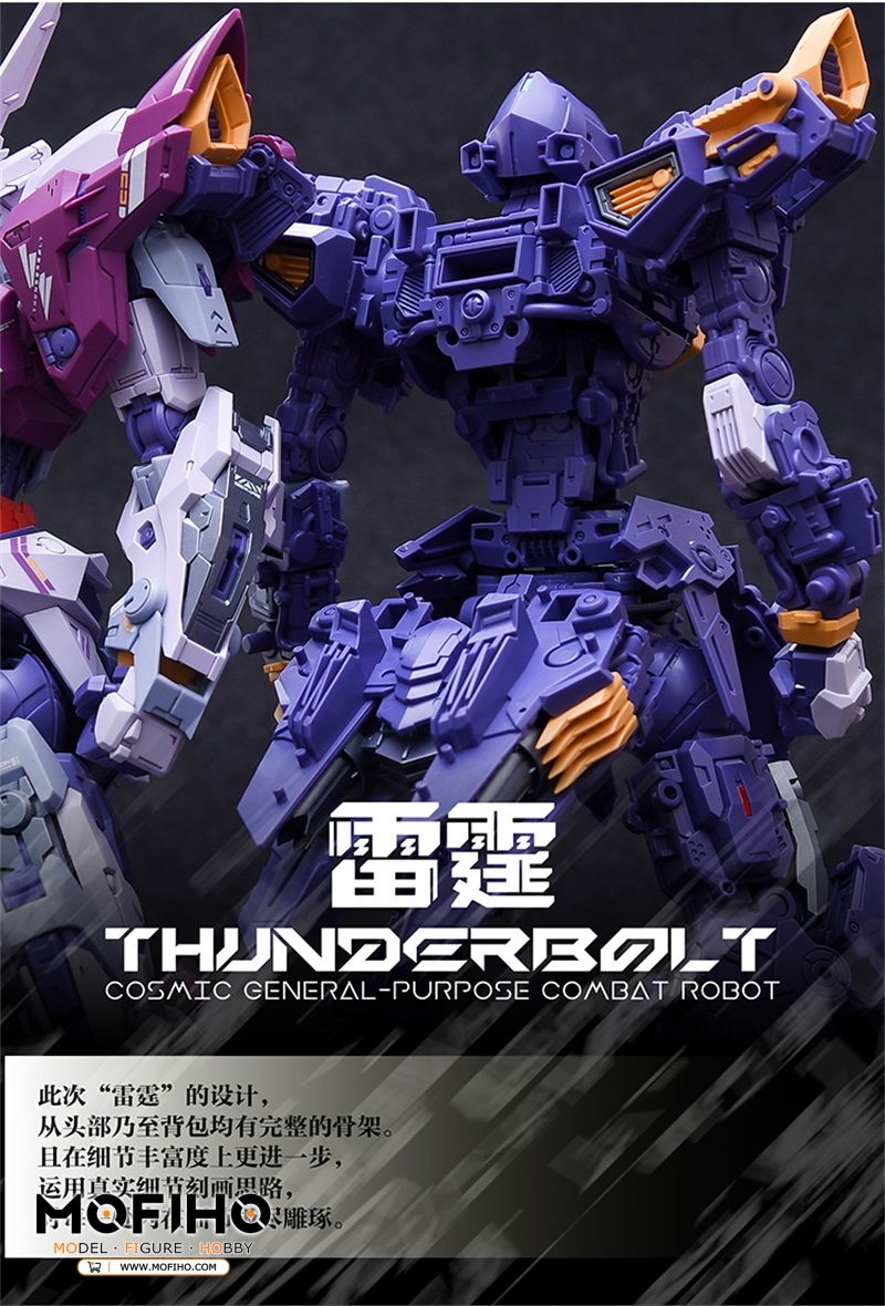 IN ERA + THUNDERBOLT 1/100 MG