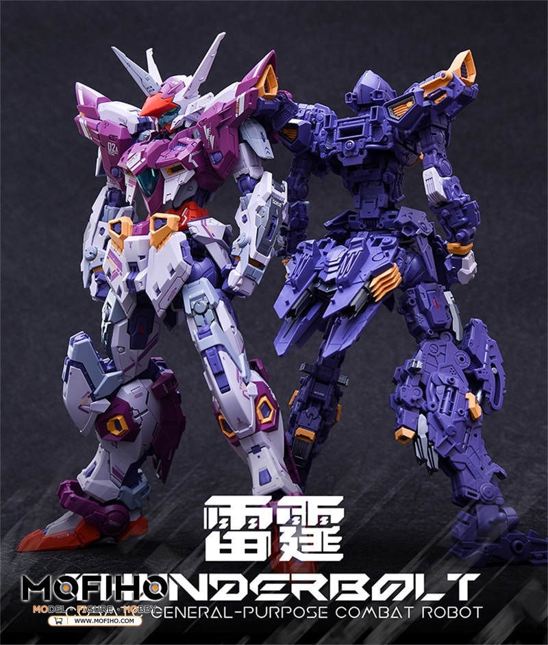 IN ERA + THUNDERBOLT 1/100 MG