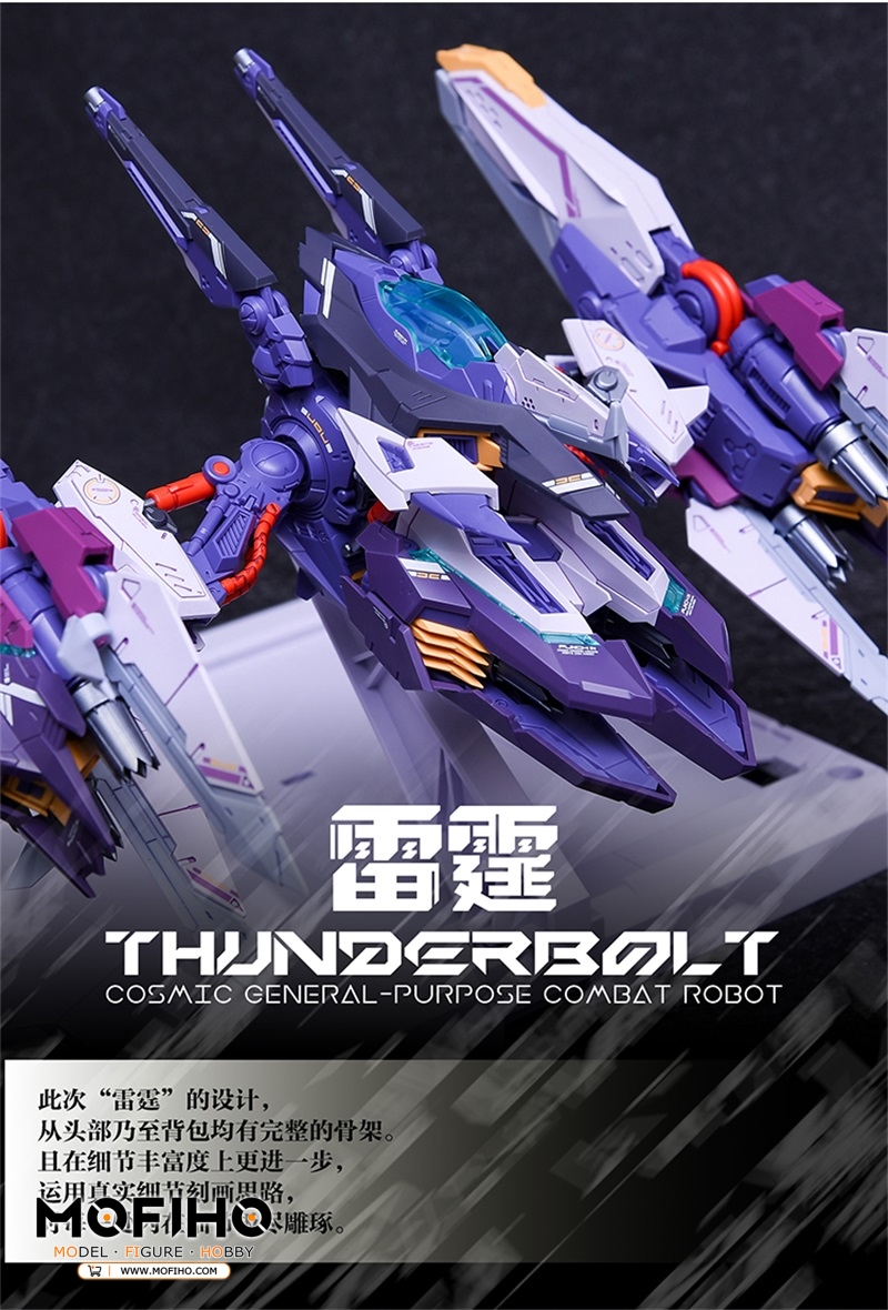 IN ERA + THUNDERBOLT 1/100 MG