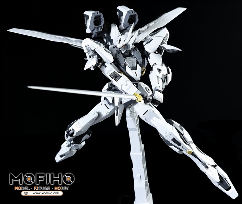 Robox Animation BAILU Air Combat Custom 1/100 MG TEST-70 Armored Colossus